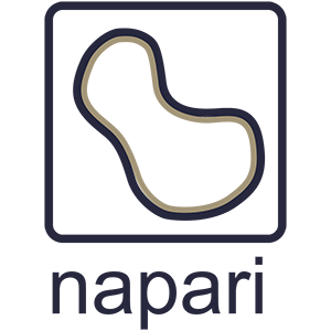 Donate to napari